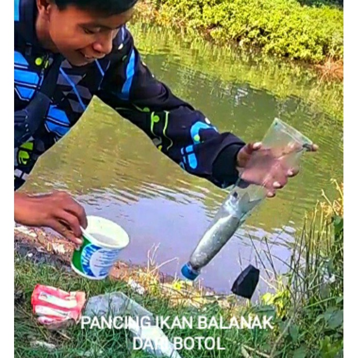 Jual PANCING IKAN BALANAK PERANGKAP IKAN BALANAK DARI BOTOL | Shopee ...