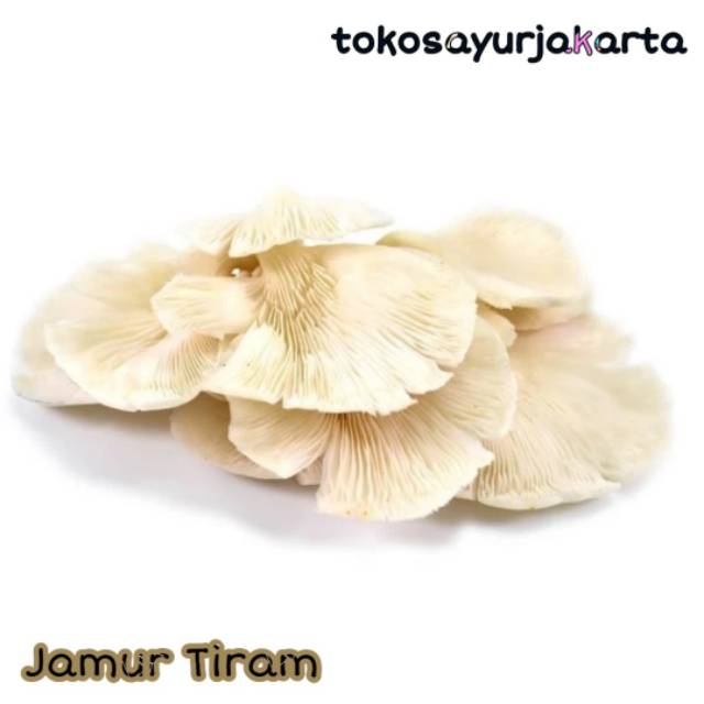 Jual Jamur Tiram, Jamur Kuping Hitam - Per Bungkus / Sayuran Segar ...