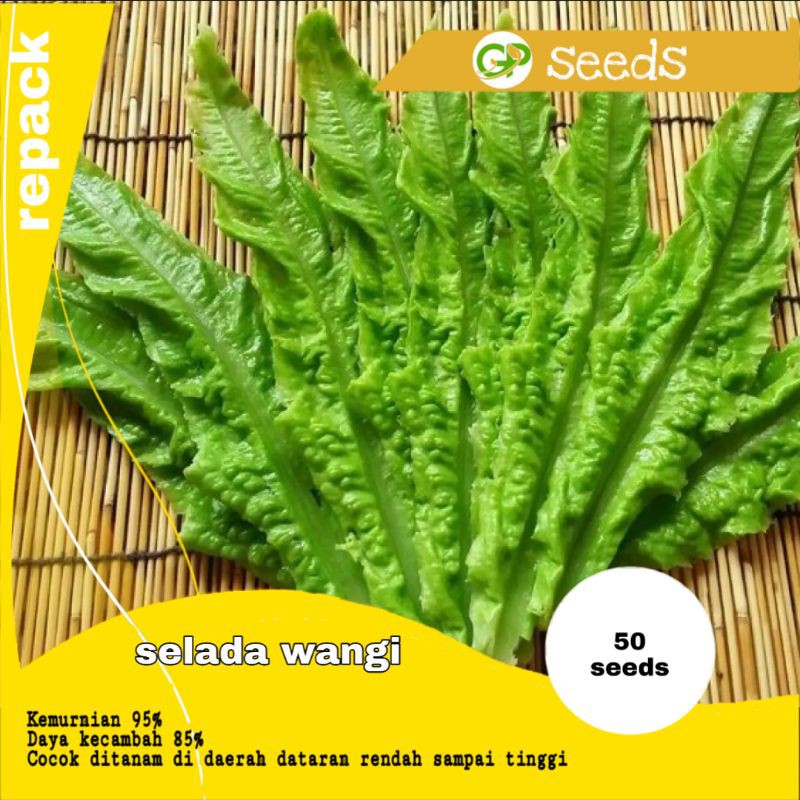 Jual benih selada wangi benih selada siomak | Shopee Indonesia