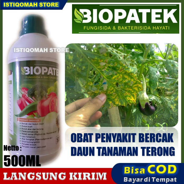 Jual BIOPATEK 500ml Fungisida & Bakterisida Hayati Obat Hama Penyakit Bercak pada Daun Terong ...