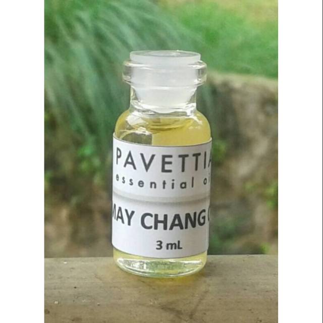 Jual Sample 3 ml - May chang oil / minyak kilemo (krangean) | Shopee ...
