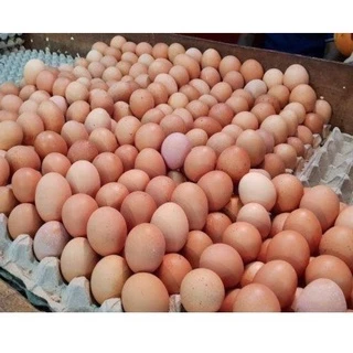 Jual telor ayam 1kg Harga Terbaik & Termurah Desember 2025 | Shopee ...