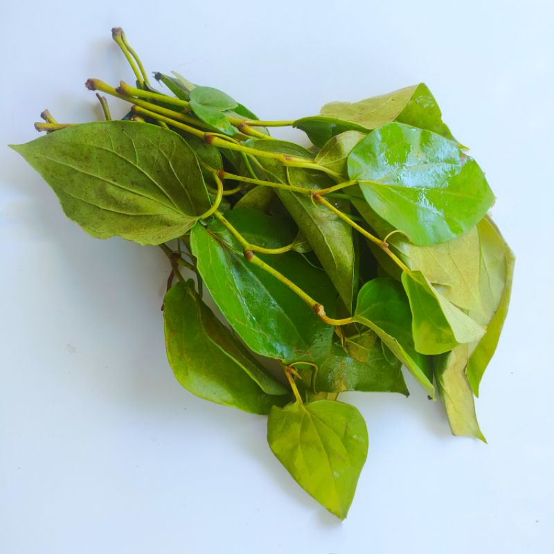 Jual Obat Herbal Daun Sirih Segar 100gr asli alami Denpasar Bali (Gojek ...