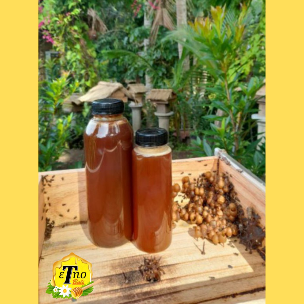 Jual Madu Kele-kele Murni Berkhasiat 100% murni | Shopee Indonesia