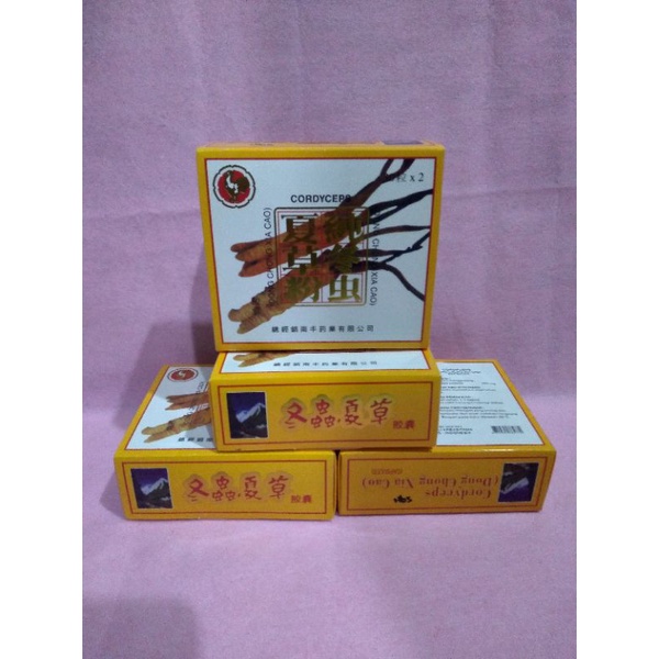 Jual Cordyceps Dang Chong Xia Cao Capsules 100% Asli | Shopee Indonesia