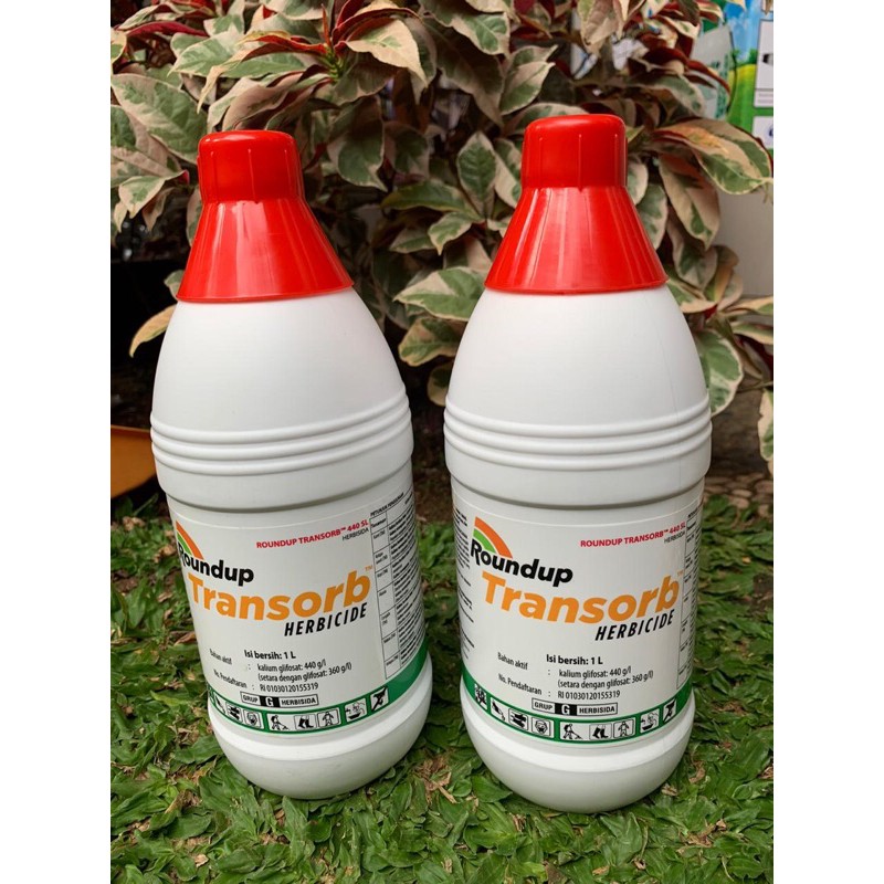 Jual ROUNDUP TRANSORB 440 SL 1L Herbisida pembasmi rumput liar original ...