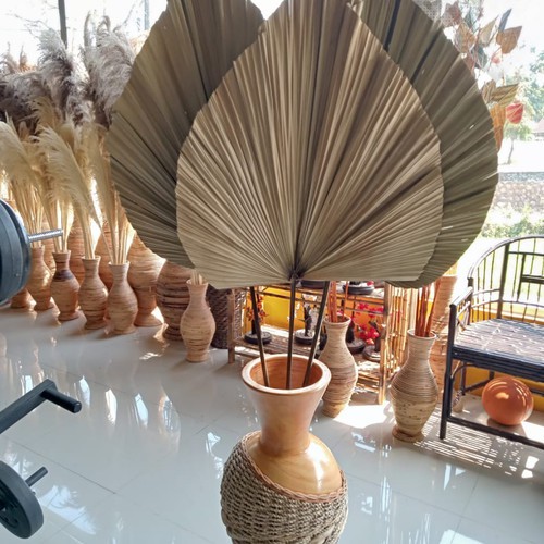 Jual DAUN PALEM KERING/RAYUNG STICK/RAYUNG PAMPAS/RAYUNG DEKORASI RUMAH ...
