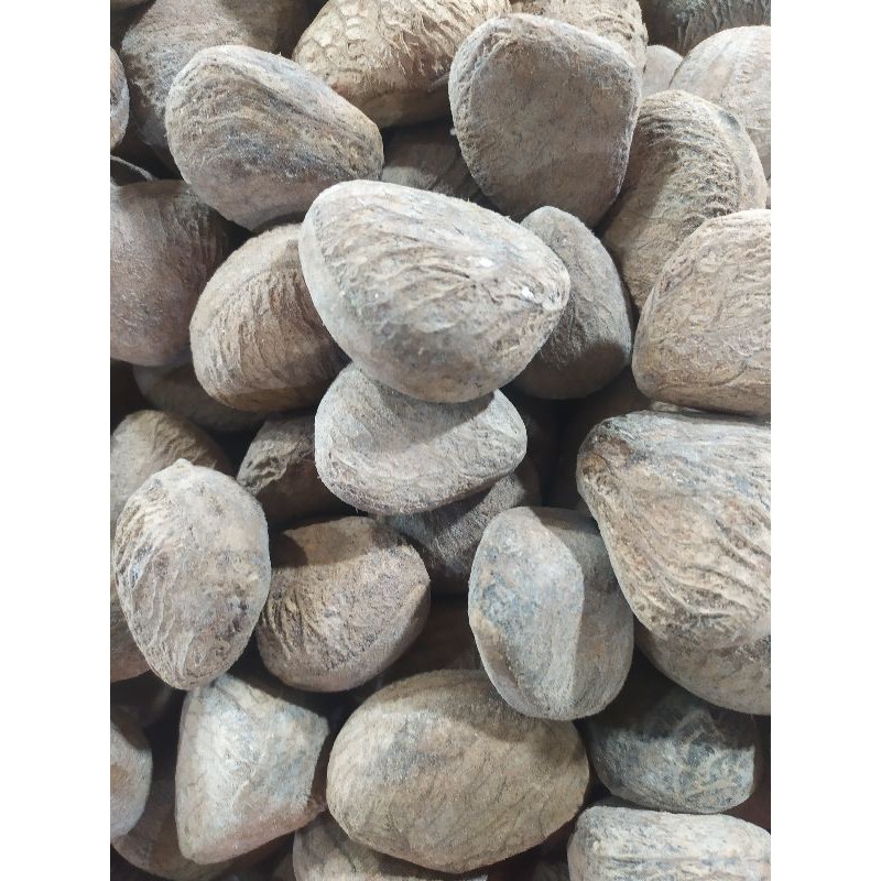 Jual kluwek 500 gram | Shopee Indonesia