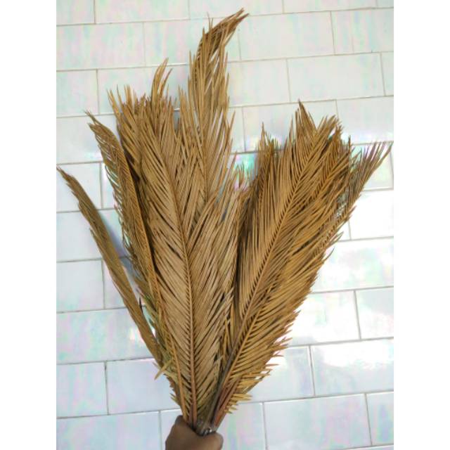 Jual Mawar Jambe || Daun Palem || Bunga Kering || Daun kering || fried ...