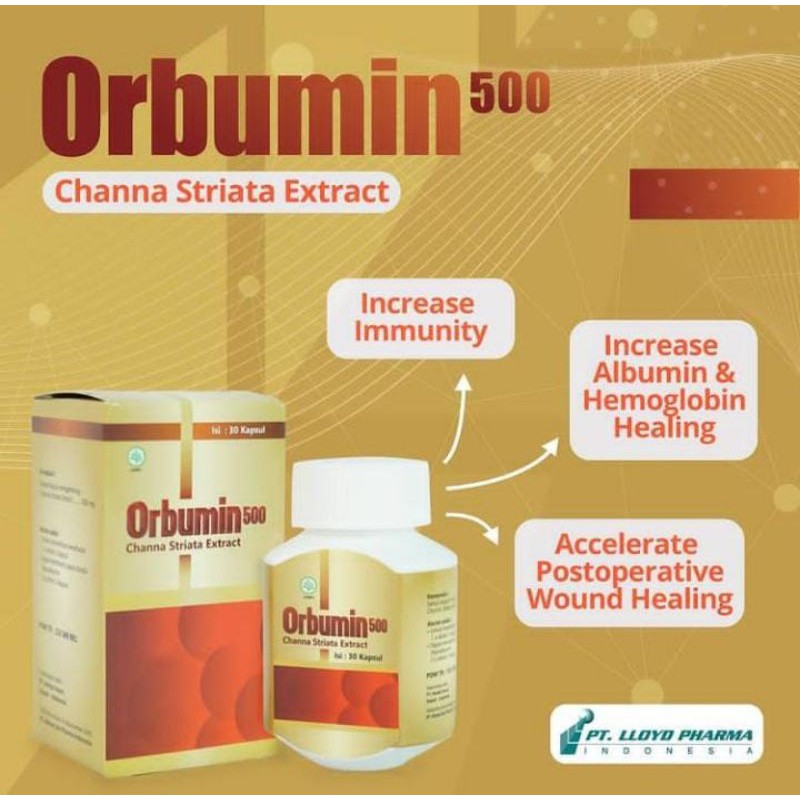 Jual Orbumin 500mg (garansi produk original) ready stok | Shopee Indonesia