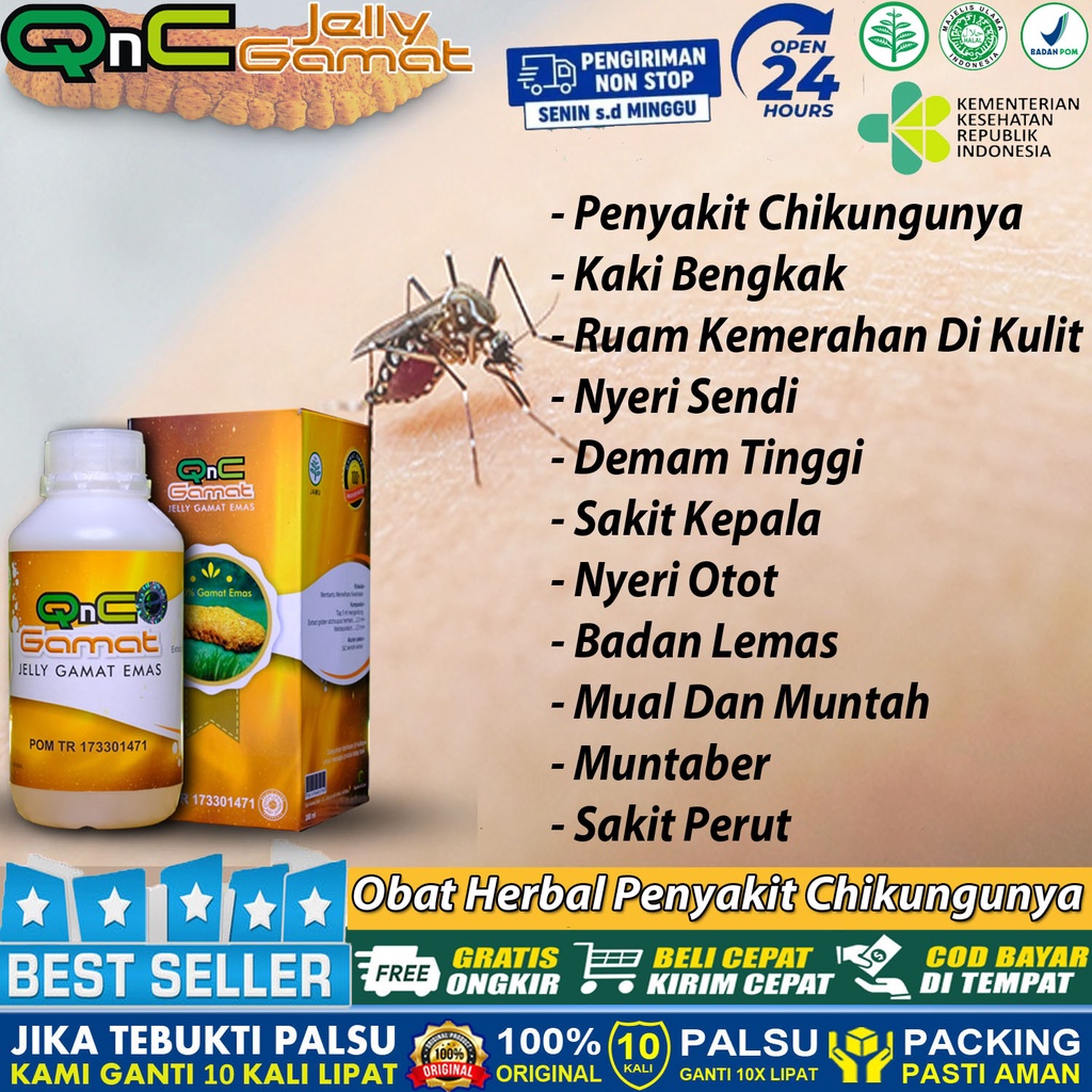 Jual Obat Chikungunya Infeksi Gigitan Nyamuk Demam Tinggi DBD Pusing ...