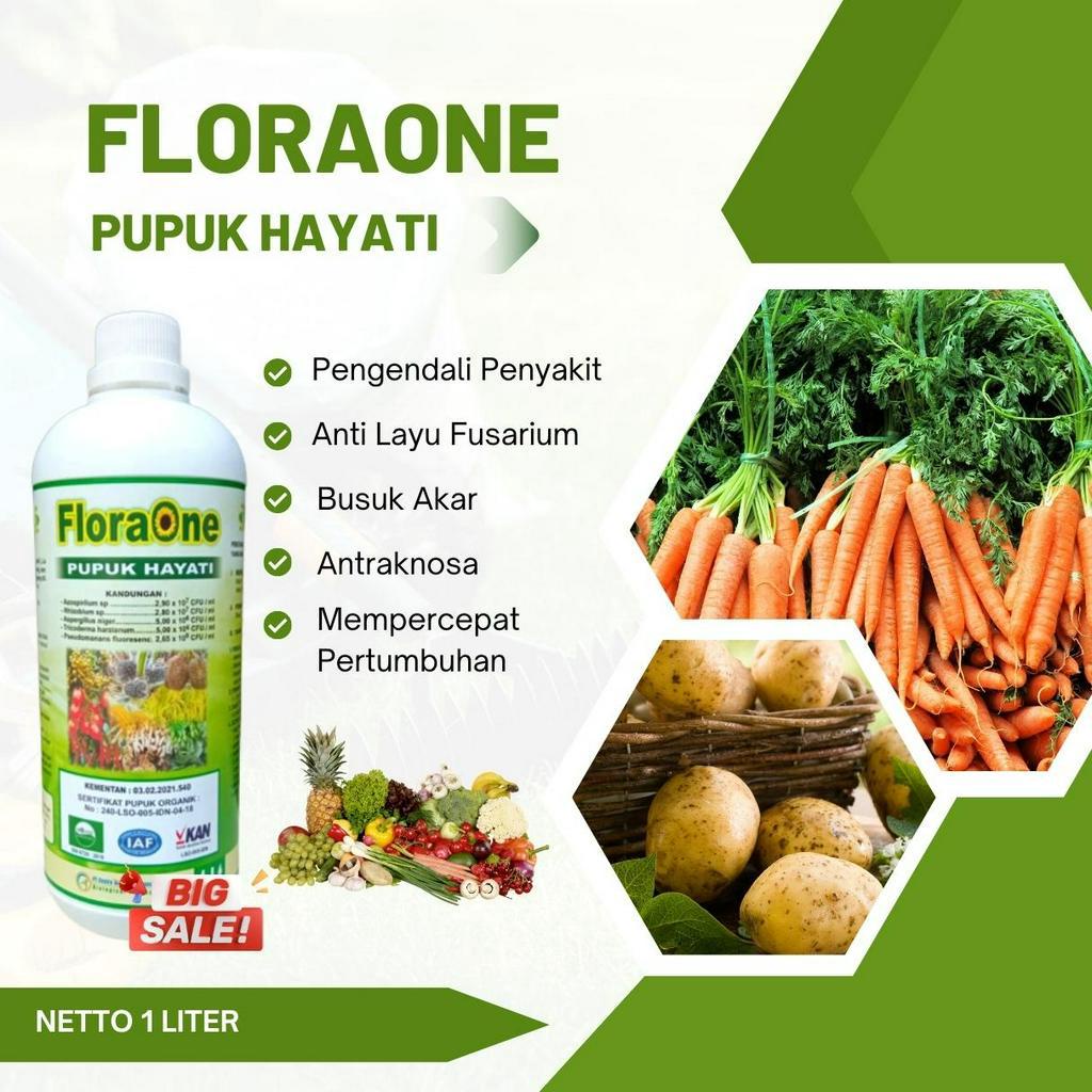 Jual Pupuk PGPR Rhizobium Sp Cair 1 Liter, Pupuk Hayati Penyubur ...