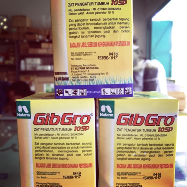 Jual GIBGRO 10SP ZAT PENGATUR TUMBUH giberelin 10% | Shopee Indonesia