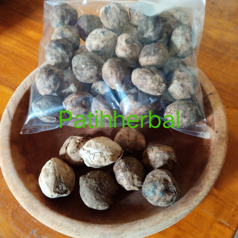 Jual Biji Buah Kemiri/Biji Buah Muncang dengan batoknya Per 55 biji ...