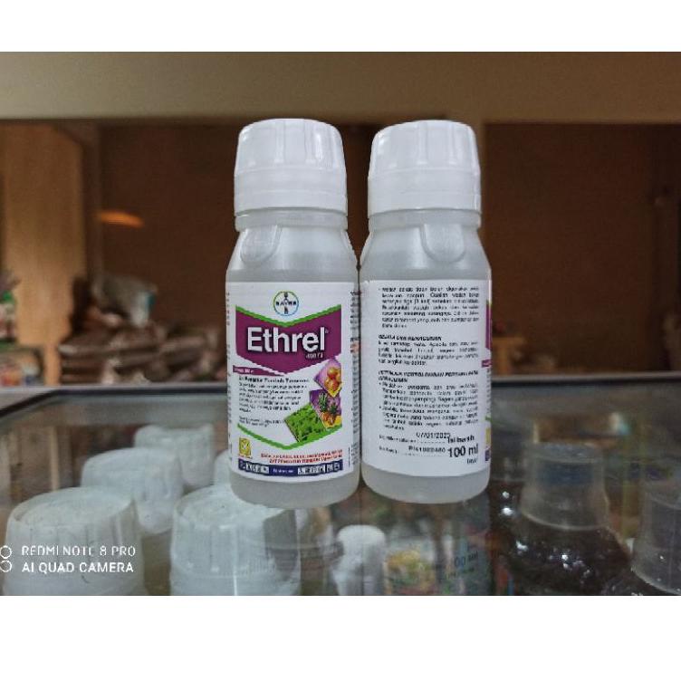 Jual Laris ETHREL 480 SL 100 ML ZPT PEMATANG BUAH NAGA PISANG PEPAYA ...