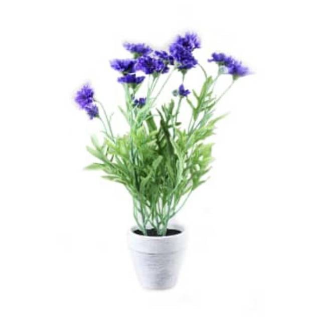Jual Bunga Artifisial Cornflower Dengan Pot - Biru | Shopee Indonesia