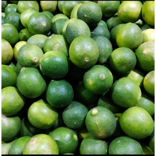 Jual Jeruk Nipis 1 Kg | Shopee Indonesia