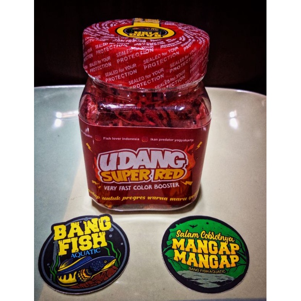 Jual Udang super blue & red bangfish | Shopee Indonesia