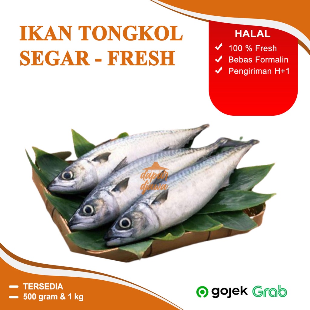 Jual IKAN TONGKOL CUE CUEK DEHO CAKALANG SEGAR PER POTONG KERING ...