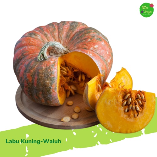 Jual LABU KUNING / WALUH 1 KG | Shopee Indonesia