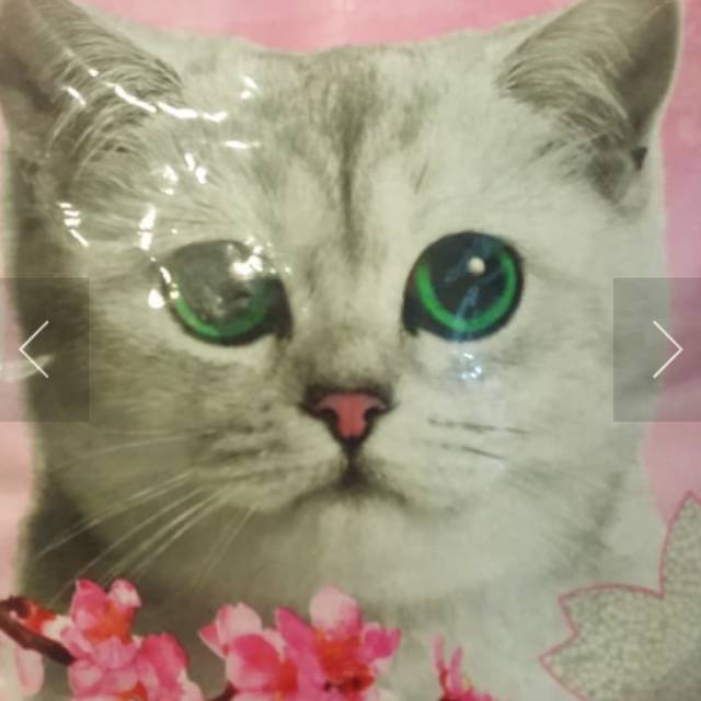 Jual Kit Cat Pasir Kucing 10 liter ( 7 kg ) | Shopee Indonesia