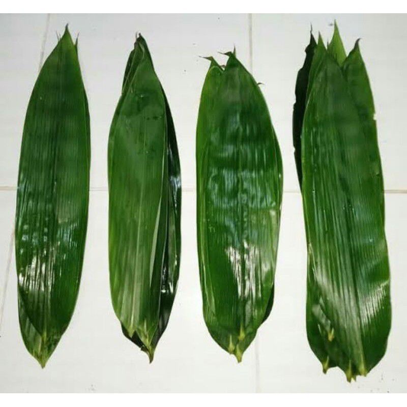 Jual DAUN BAMBU SEGAR BUNGKUS BAKCANG /lembar | Shopee Indonesia