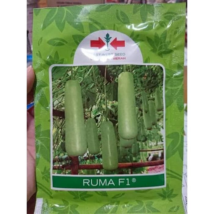 Jual Benih Labu Air Ruma F1 Panah Merah (10 Gram) | Shopee Indonesia