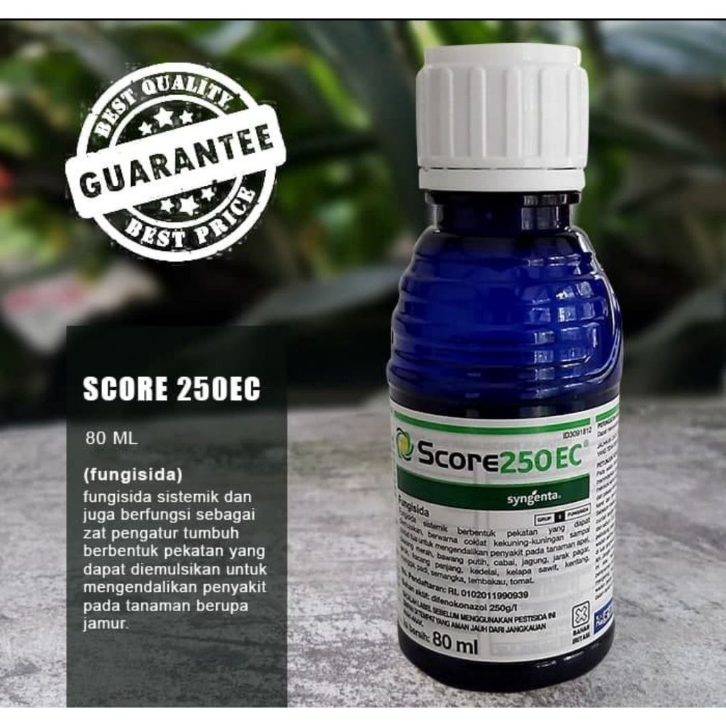 Jual FUNGISIDA SCORE 250EC 80ml Pengendali Jamur Tanaman Obat Jamur ...