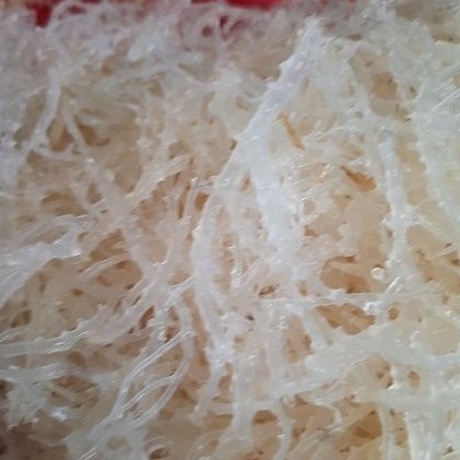 Jual RUMPUT LAUT SEGAR ORIGINAL TINGGI SERAT | Shopee Indonesia