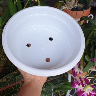 Jual SHOPEE MALL Pot bunga BONSAI 25 PUTIH HITAM Pot ceper Pot Bonsai ...