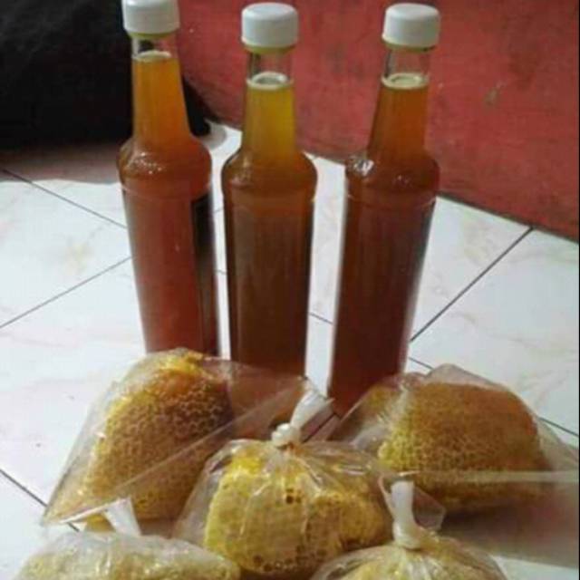 Jual Madu tawon dan madu odeng | Shopee Indonesia