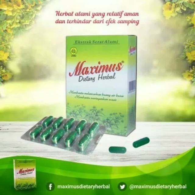 Jual MAXIMUS 1 BOX ISI 30 TABLET | Shopee Indonesia
