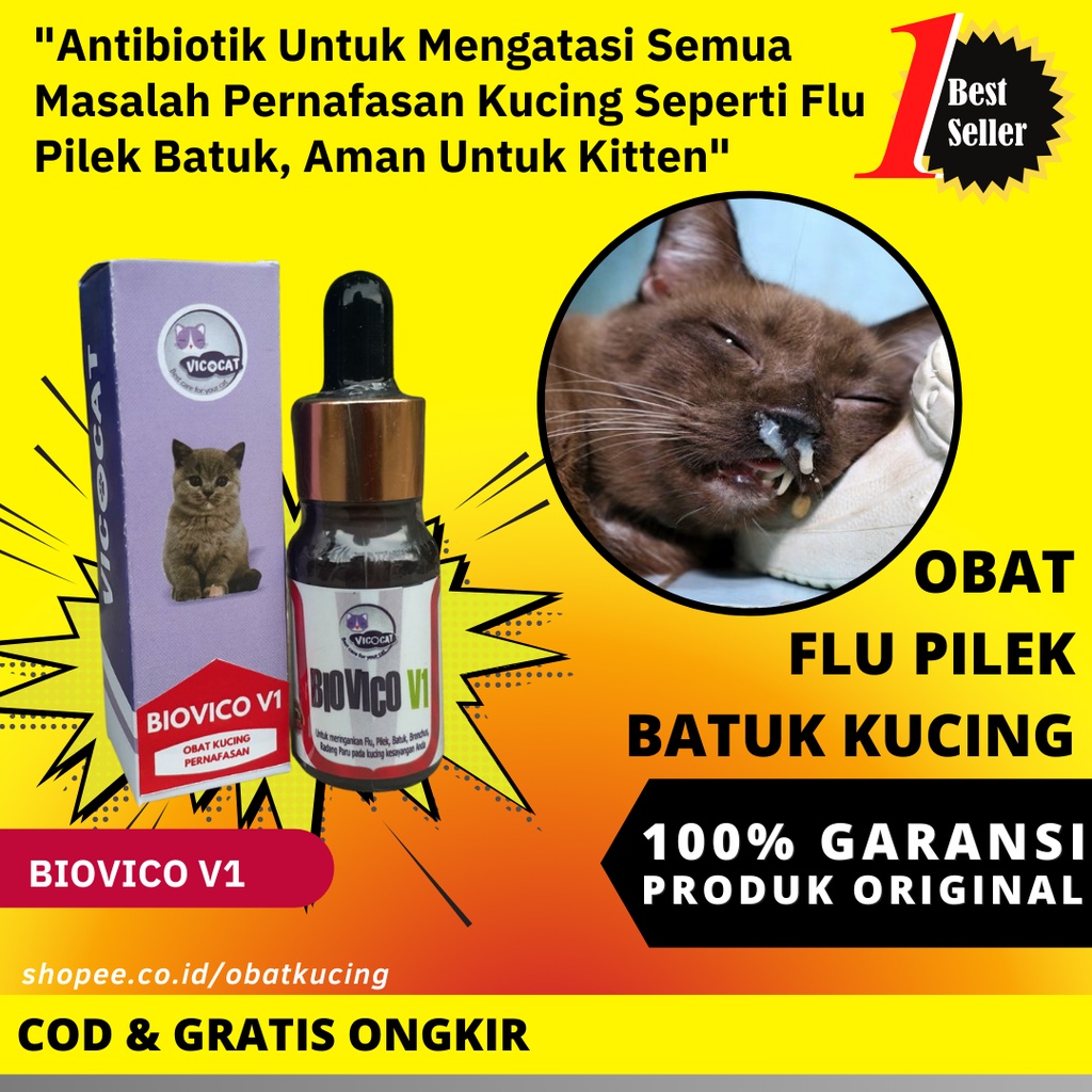 Jual Obat Flu Pilek Batuk Kucing Antibiotik Pernafasan Kucing BIOVICO ...