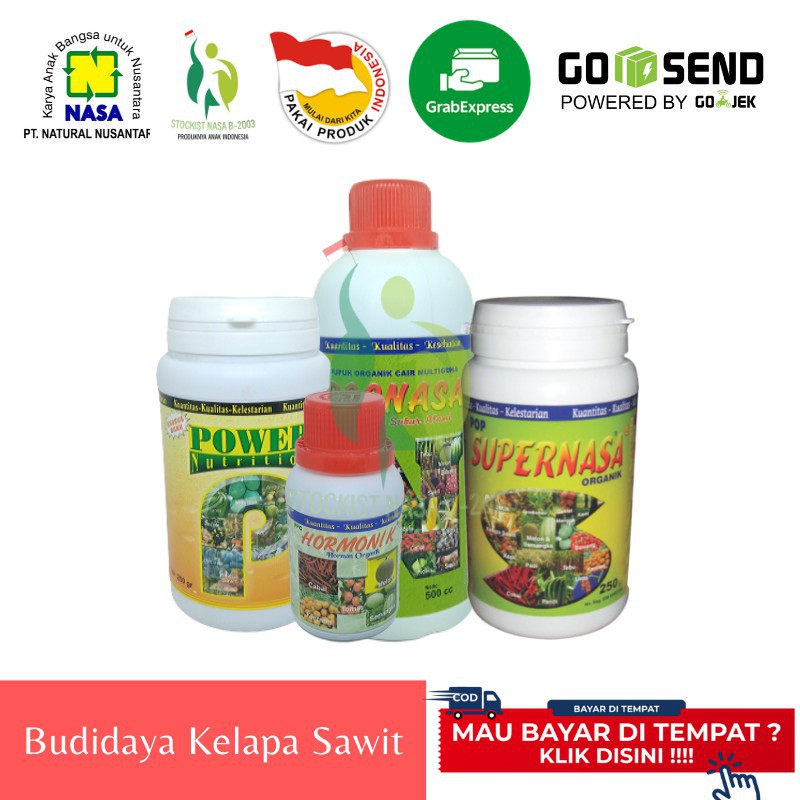 Jual PAKET BUDIDAYA KELAPA SAWIT - ORIGINAL NASA | Shopee Indonesia