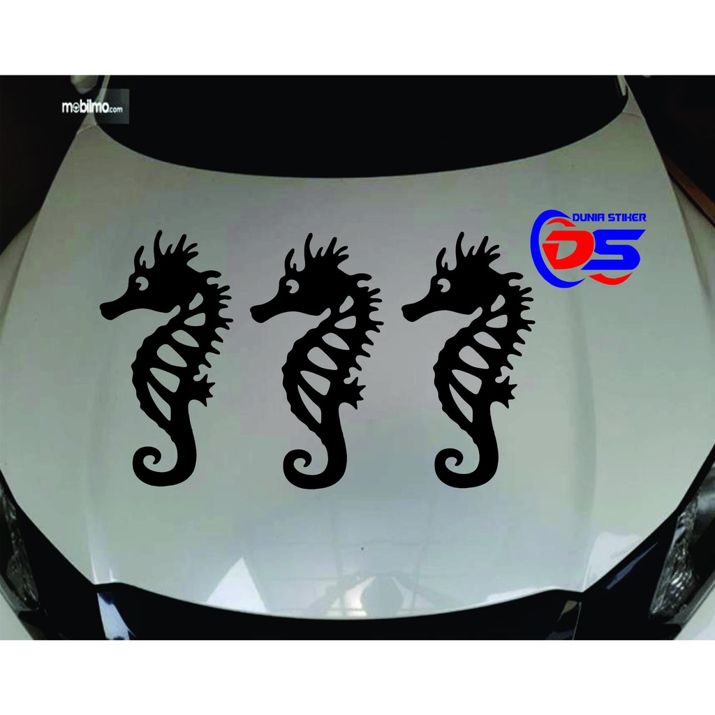 Jual Stiker Kap Depan Mobil Motif Kuda Laut Stiker Cutting Kap Terbaru ...