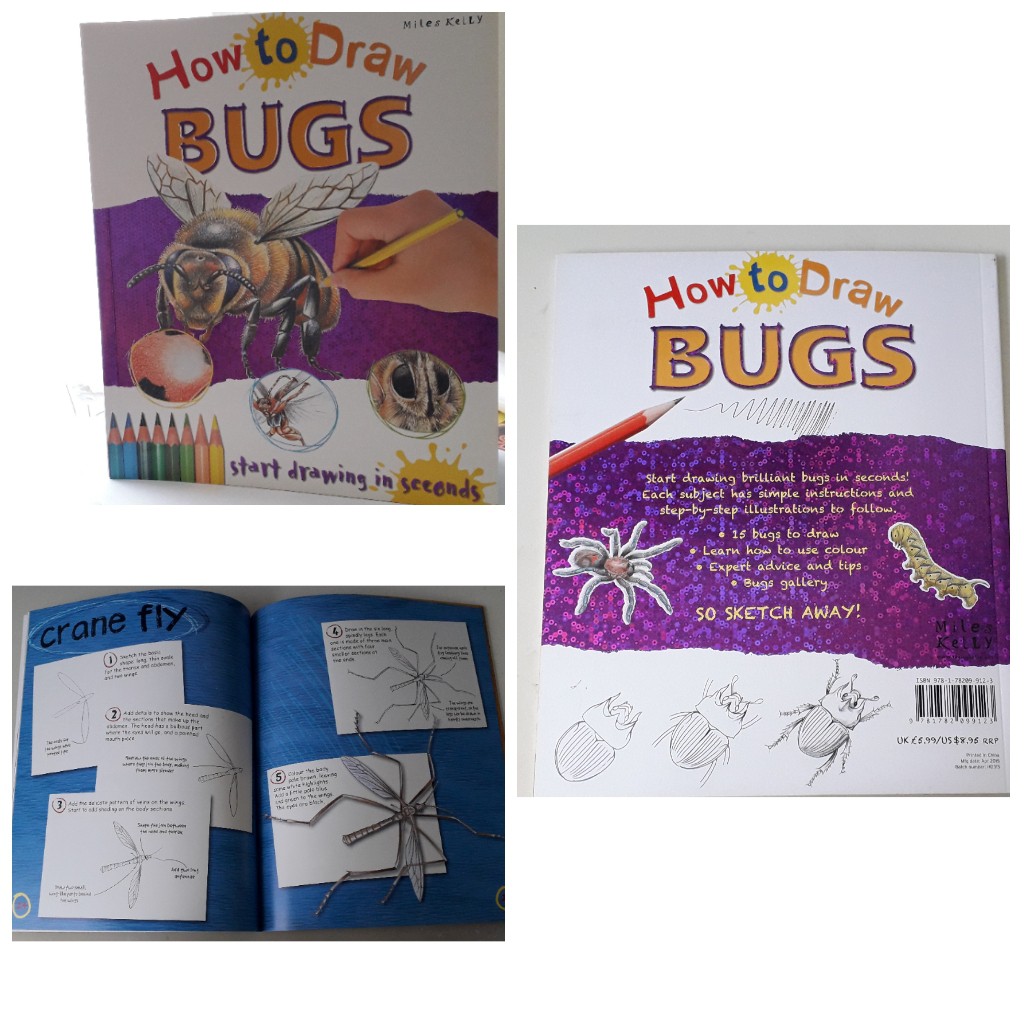 Jual How to Draw Bugs - Buku Import Anak | Shopee Indonesia
