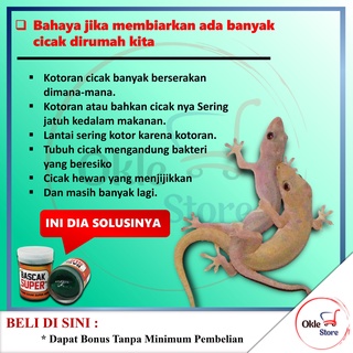 Jual bascak super racak herbal Racak racun pembasmi cicak cecak tokek ...