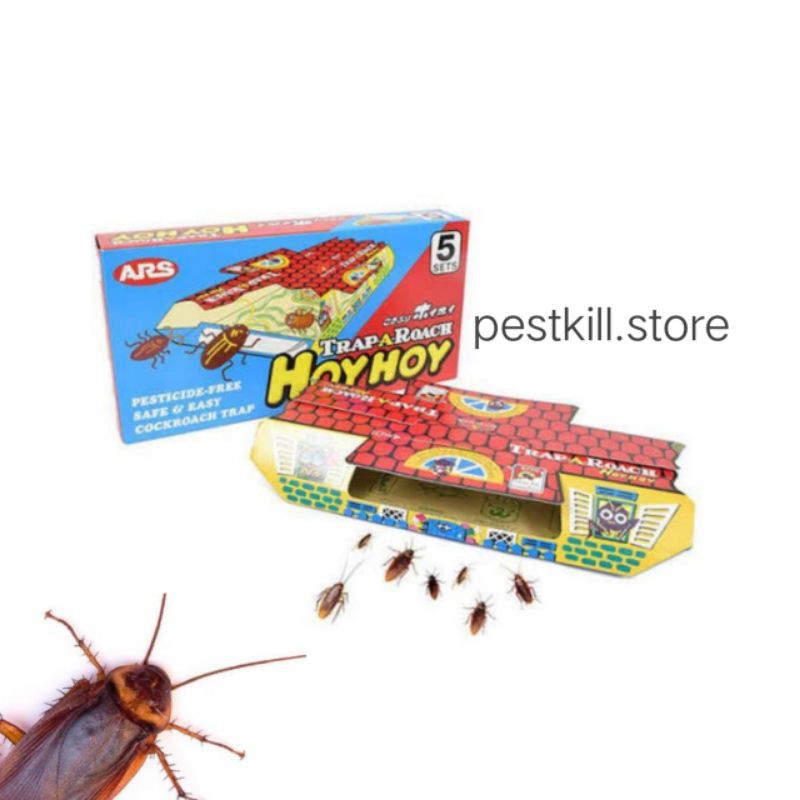 Jual Perangkap Ampuh Hama Kecoa HOY HOY (Tanpa Pestisida) | Shopee ...