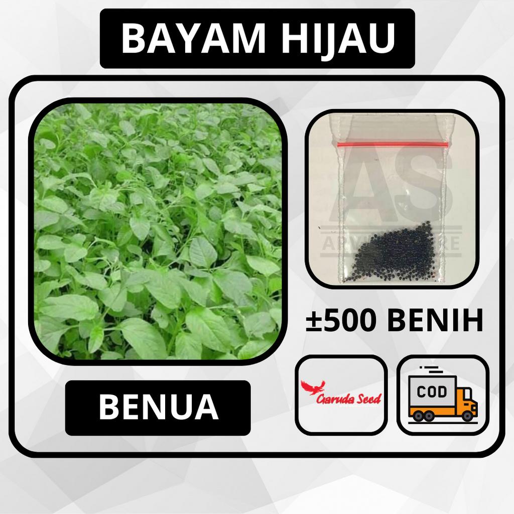 Jual 500 Butir - Benih BAYAM BENUA Garuda Seed Bibit Sayuran Tanaman ...
