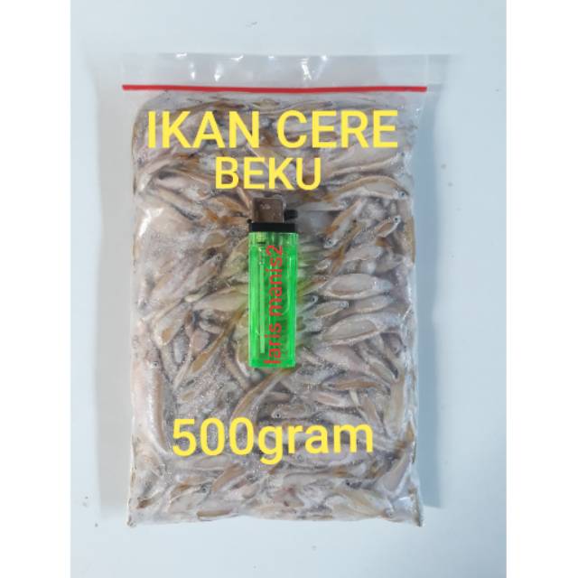Jual IKAN CERE BEKU PAKAN IKAN-IKAN CERE AIR TAWAR BEKU PAKAN IKAN ...