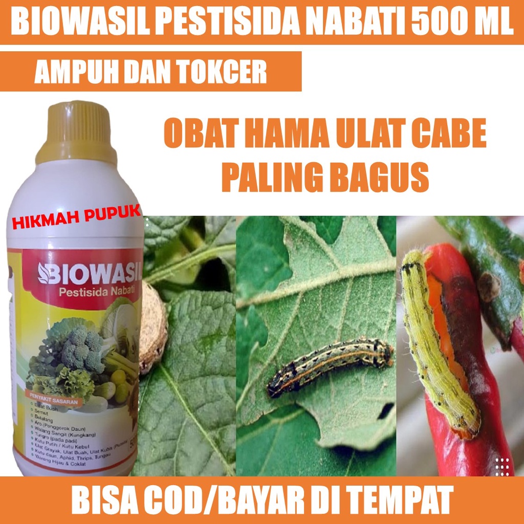Jual (TERLARIS) BIOWASIL PESTISIDA HAMA ULAT CABE, TERONG, KOL, Obat ...