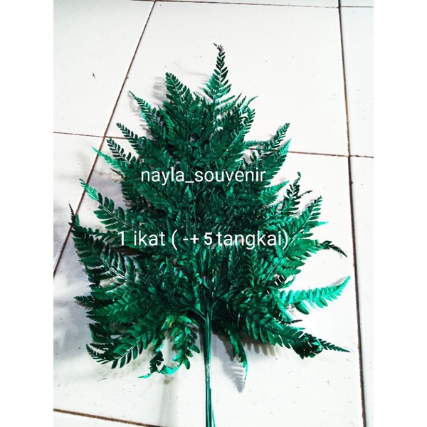 Jual daun pakis kering | Shopee Indonesia