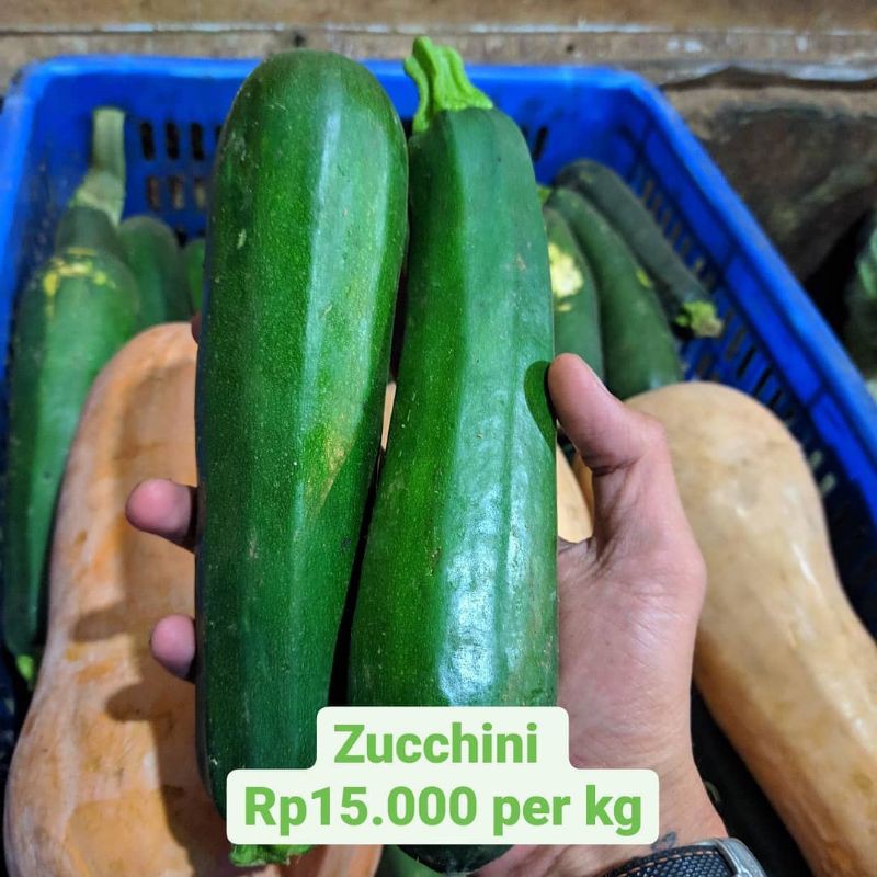 Jual Zucchini 1kg | Shopee Indonesia