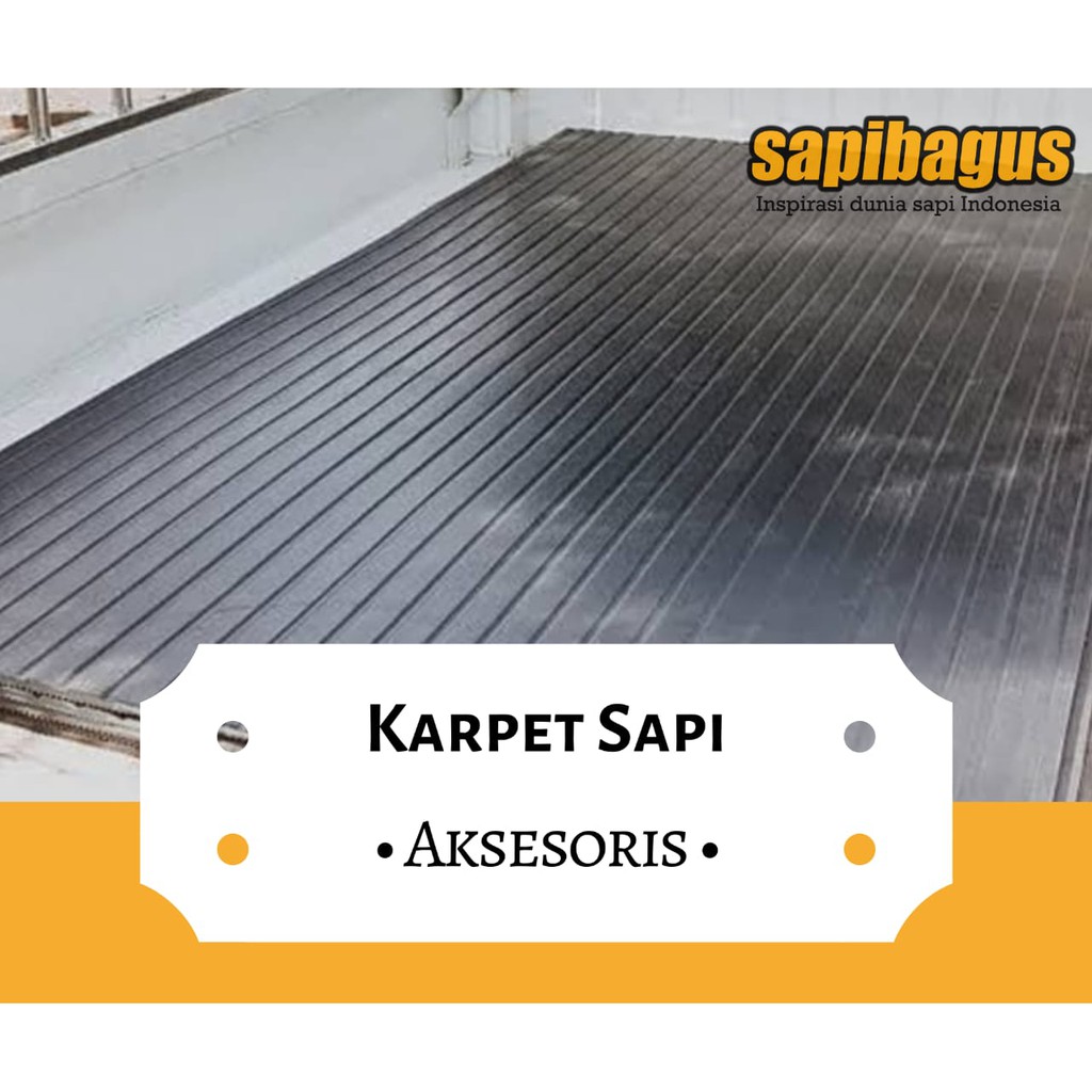 Jual Karpet Sapi Murah 14-16 mm | Shopee Indonesia