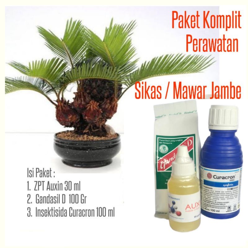 Jual Paket Perawatan Tanaman SIKAS - MAWAR JAMBE | Shopee Indonesia