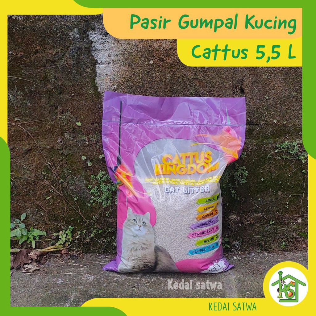 Jual Pasir Gumpal Kucing Pasir Kucing Cattus 3,5 L 5,5 Litter Box Pasir ...