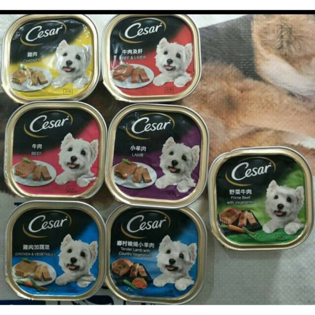 Jual Cesar Makanan Anjing / Dog Food Cesar Wet Food 100 Gram | Shopee ...