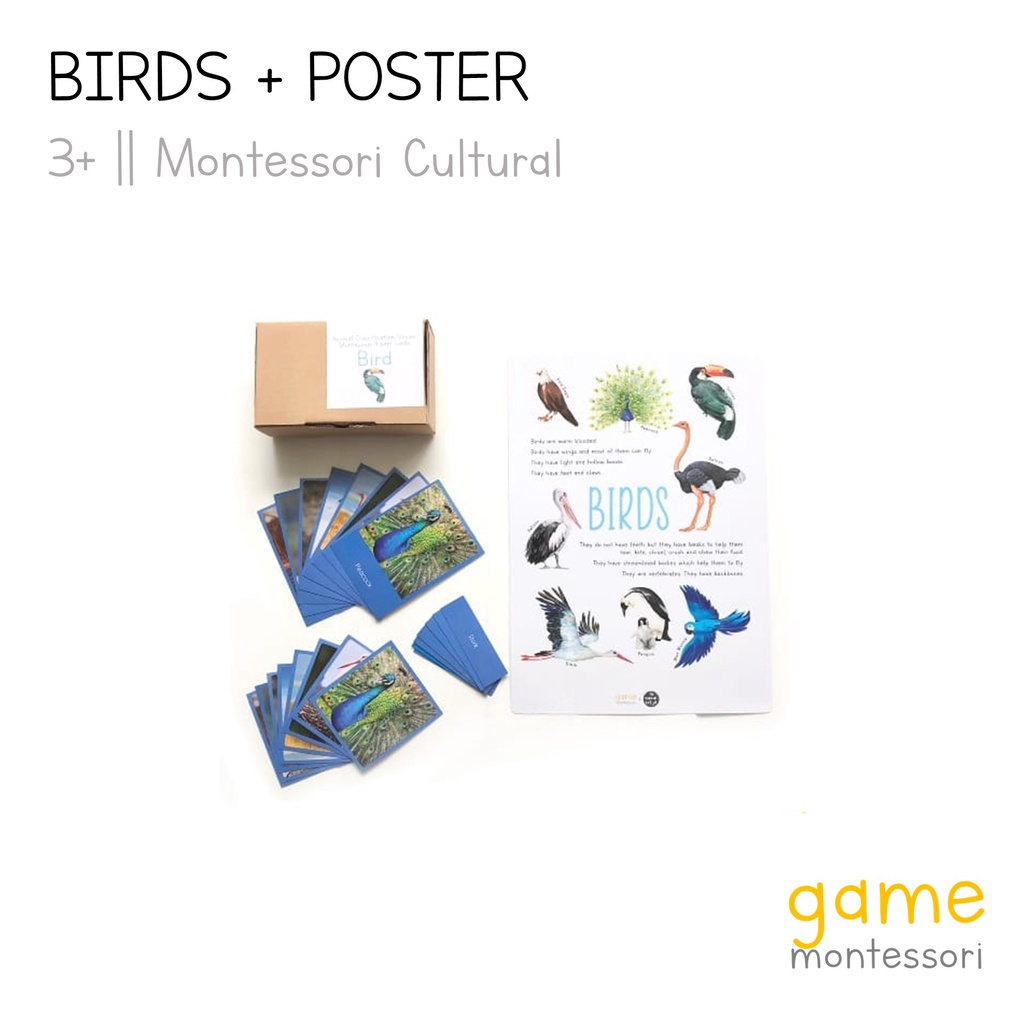 Jual Game Montessori Animal Classification Canvas Series Mollusks ...