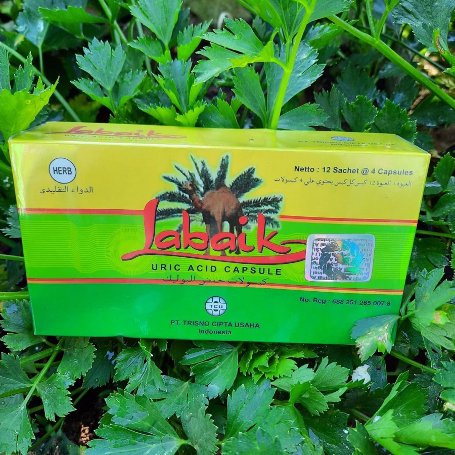 Jual KAPSUL LABAIK ORIGINAL 100% | Shopee Indonesia