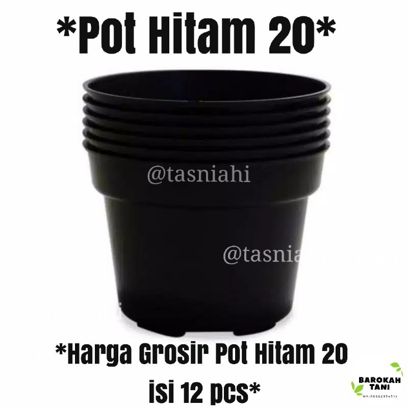 Jual (12pcs) POT BIBIT 20 lusinan pot pembibitan harga grosir | Shopee ...